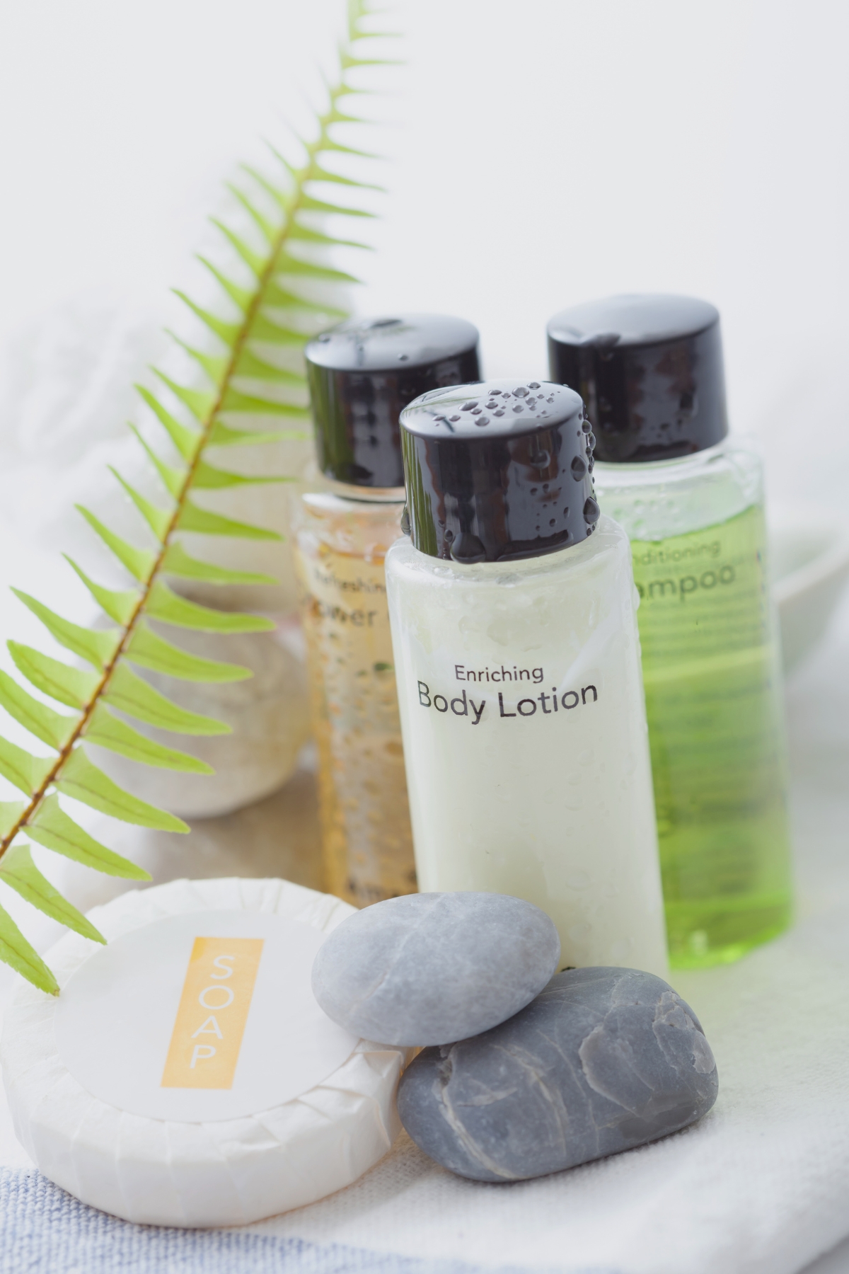 Product/Service Development - YBSVP